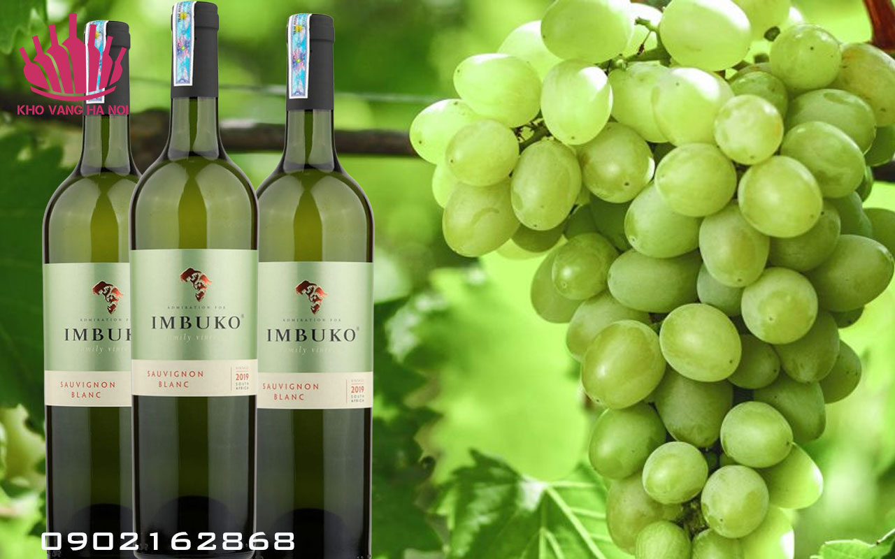 Vang Trắng Imbuko Sauvignon Blanc Giá Tốt Nhất Hà Nội Tháng 04